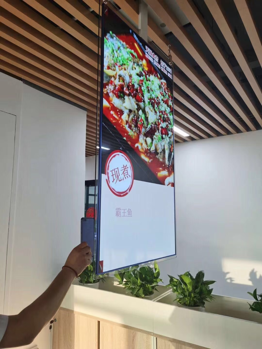 55inch ceiling mounted Double sided window display – MaceTouch Screen